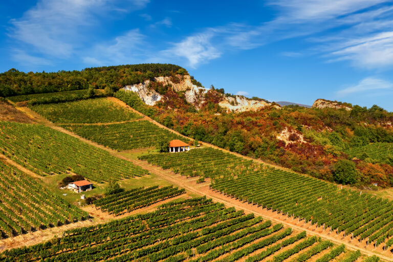 Tokaj - Best Tourism Villages